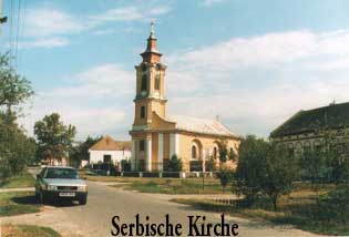 RadixForum :: Places :: Backi brestovac