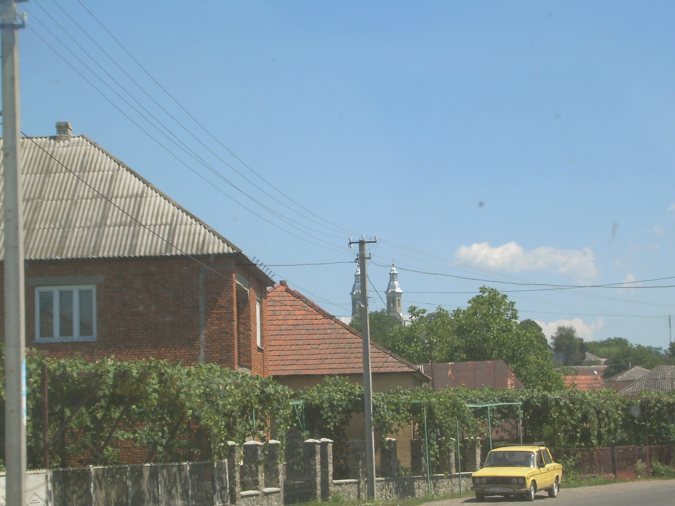 RadixForum :: Places :: Backi breg